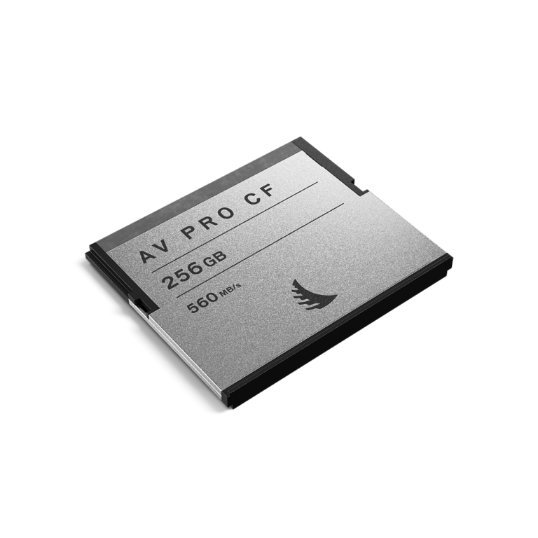 AV PRO CF - Dirigent