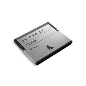 AV PRO CF - Dirigent | ディリゲント