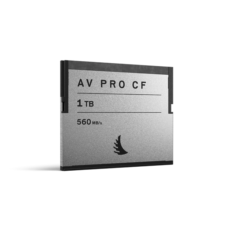 AV PRO CF - Dirigent | ディリゲント