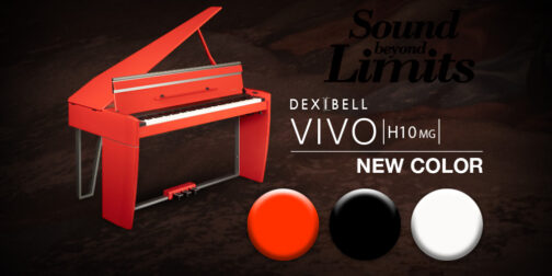 SHIMBOL - Dirigent | ディリゲント