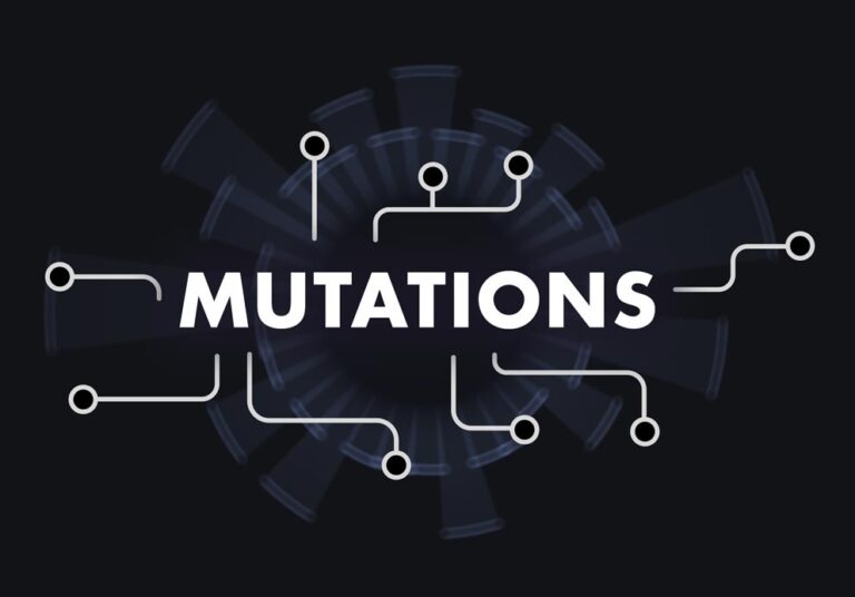 Omnisphere 3 - Dirigent | ディリゲント